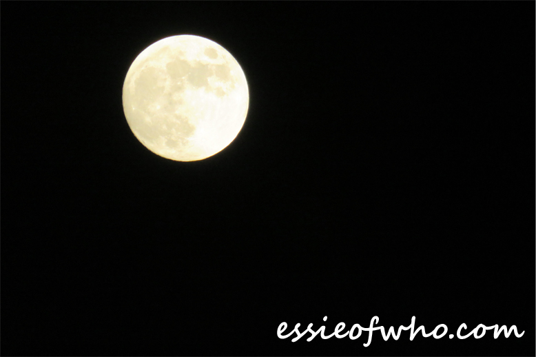july 15 2019 moon and clouds photographs (15) – Essie of Who
